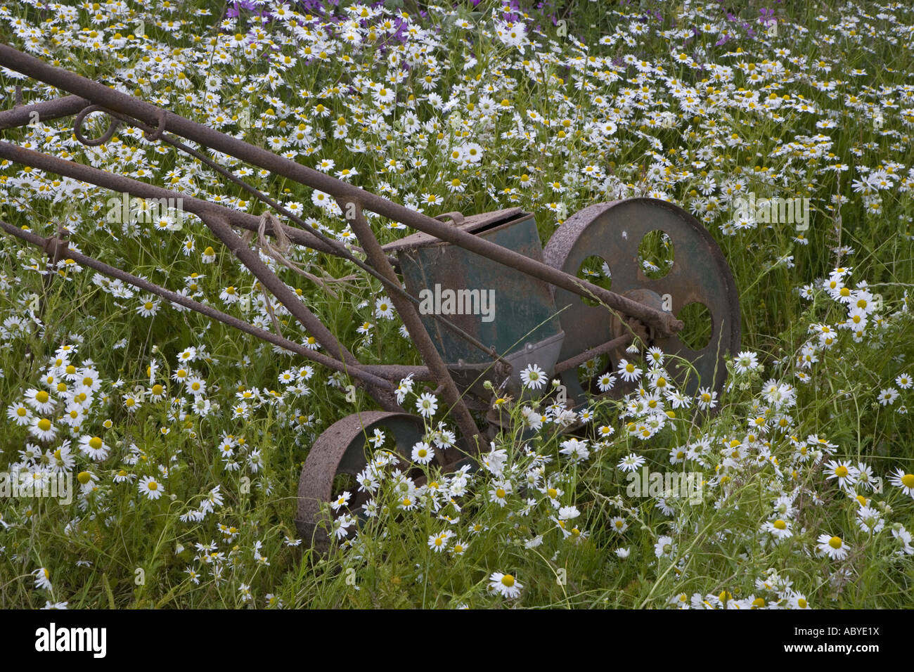 Seed drill historic hi-res stock photography and images - Alamy