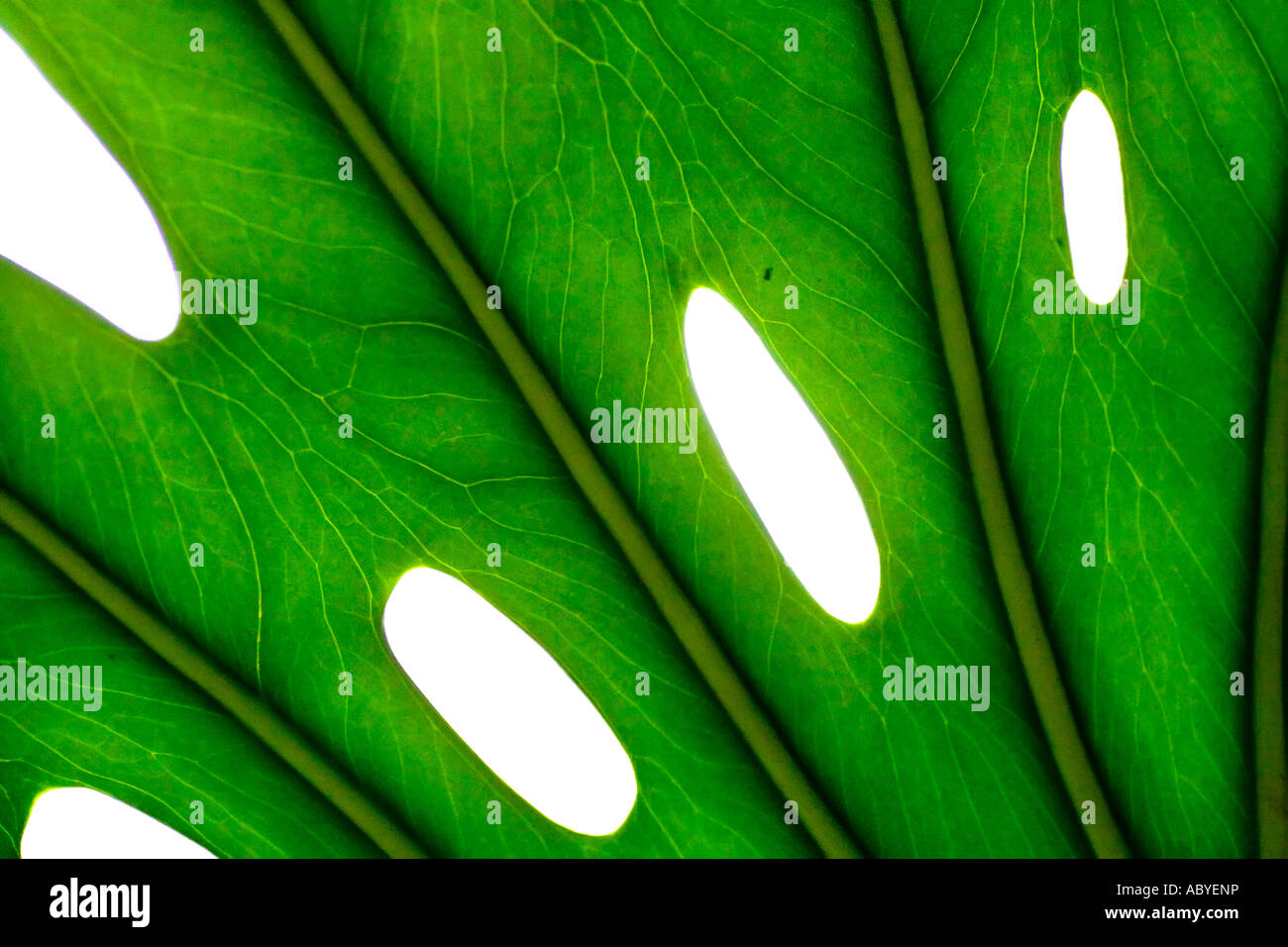 Gdansk, Poland, texture Stock Photo - Alamy