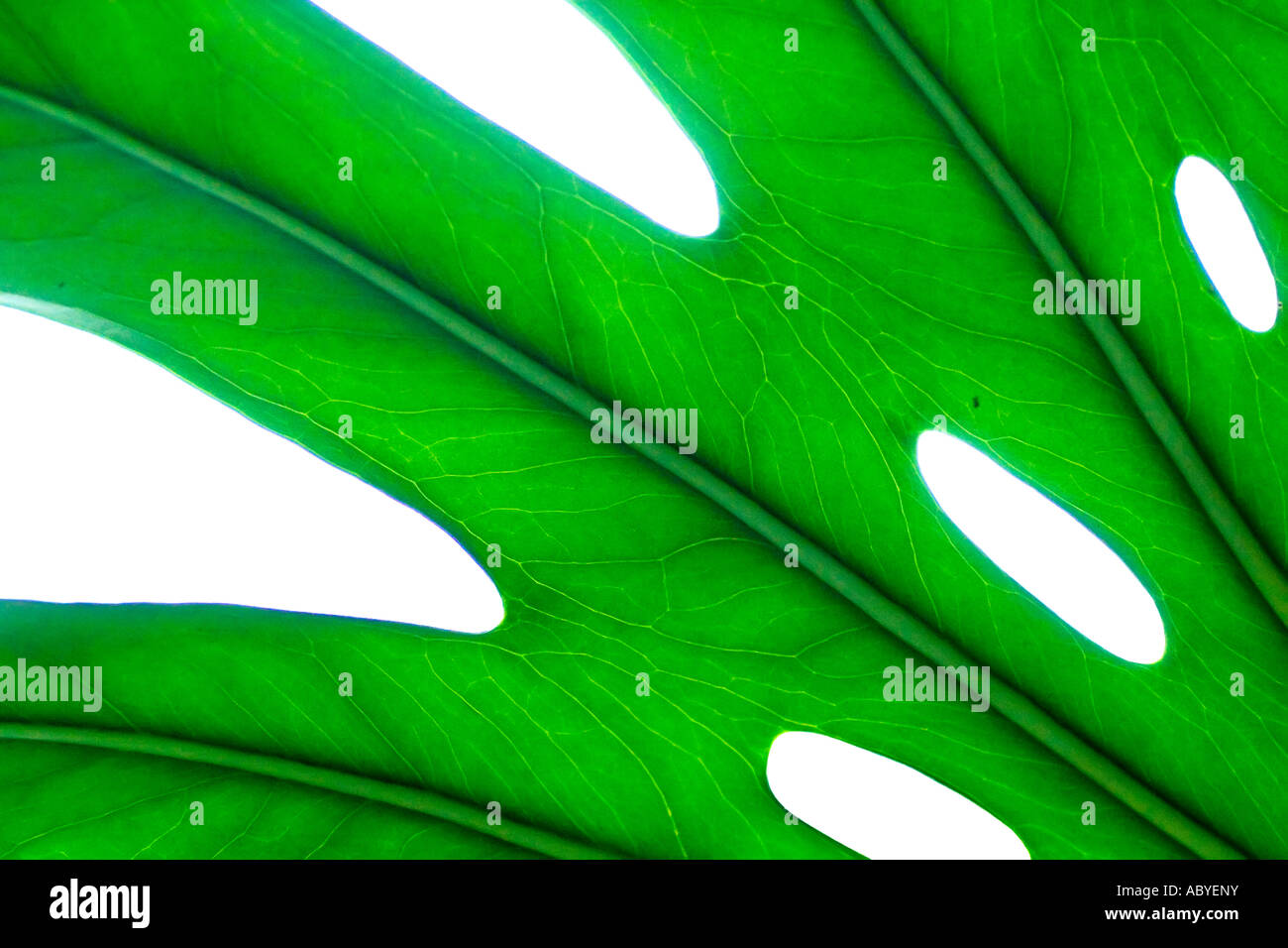 Gdansk, Poland, texture Stock Photo - Alamy