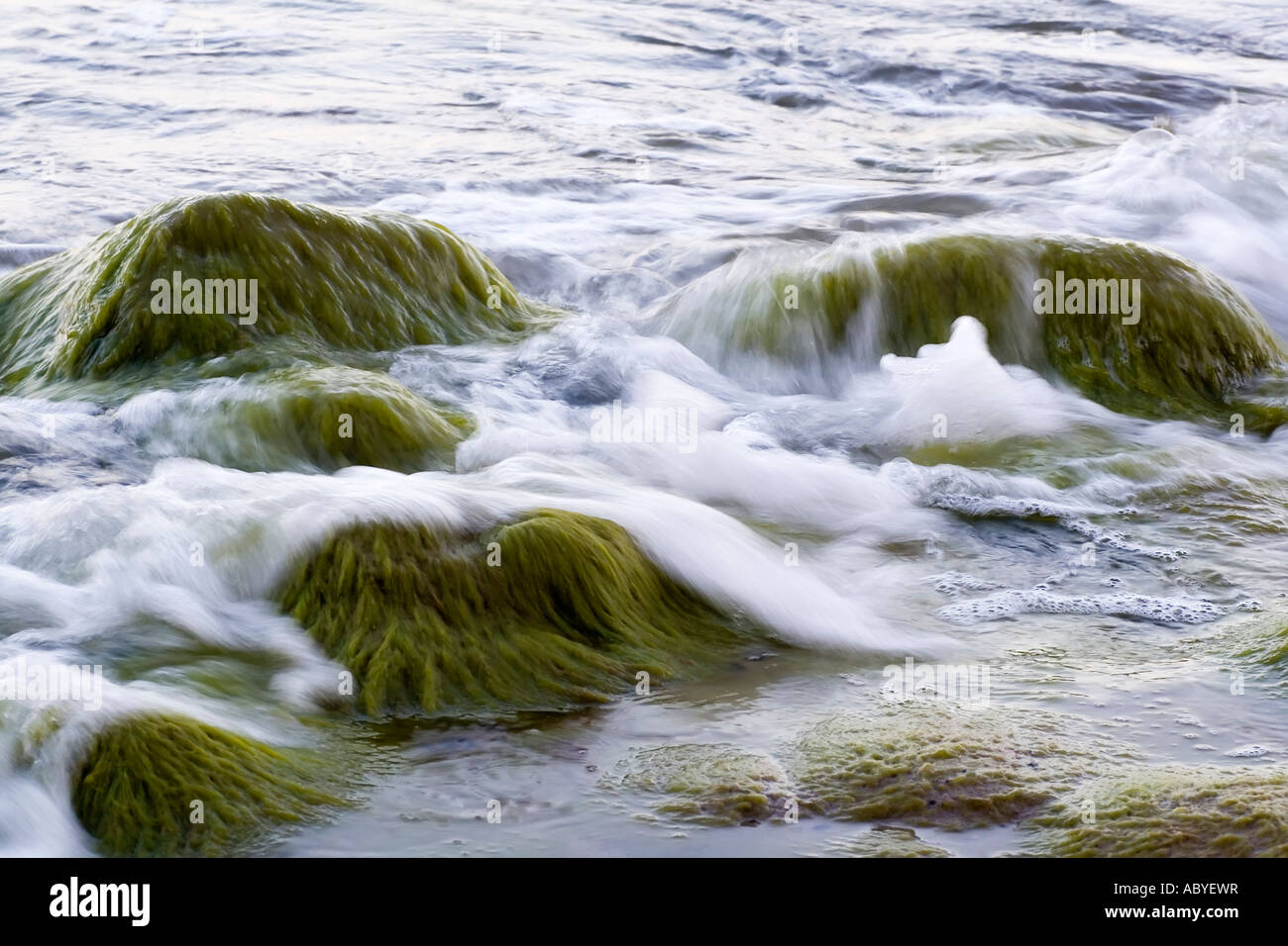 Stones in the surf Stock Photo - Alamy