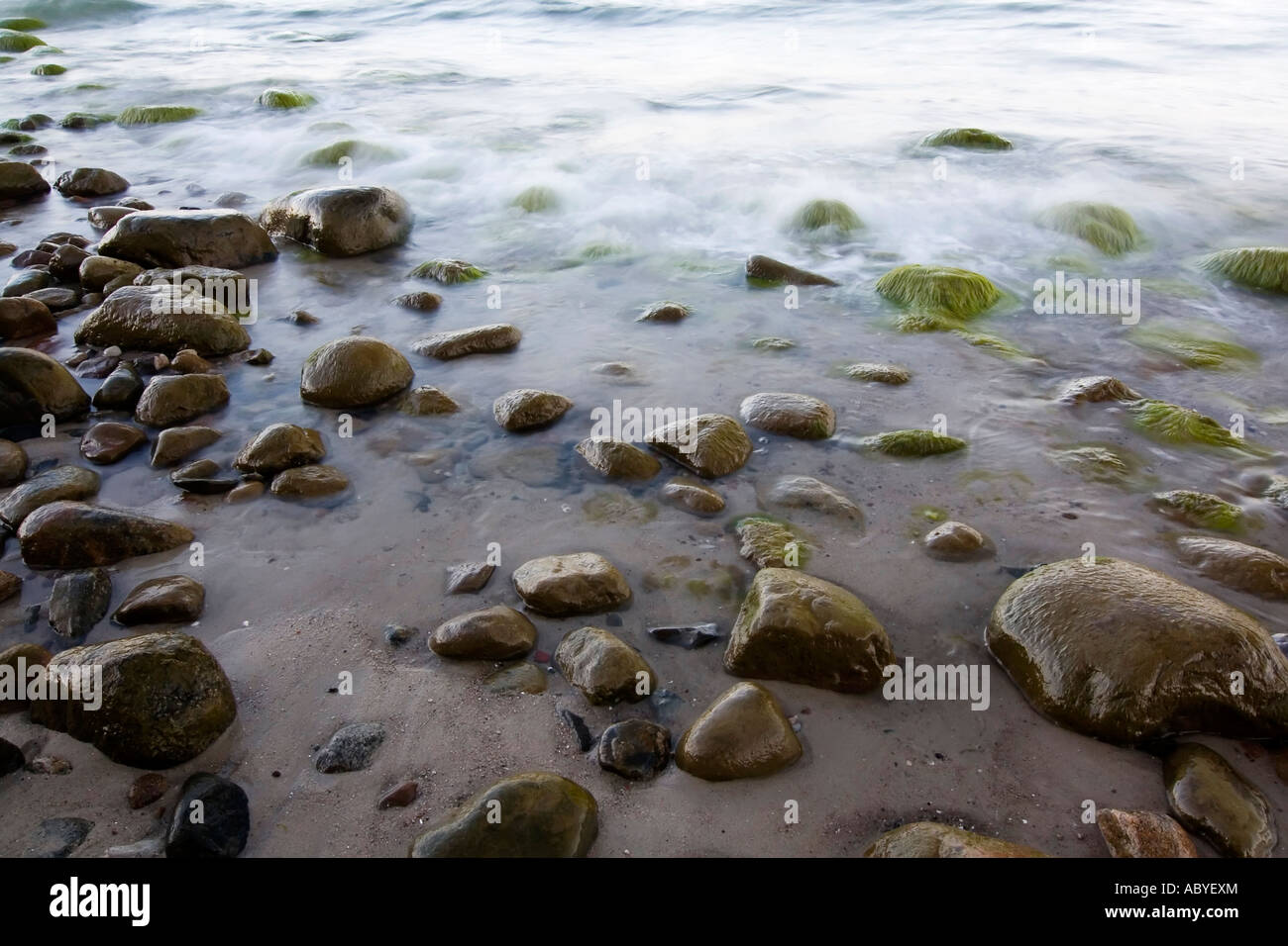 Stones in the surf Stock Photo - Alamy