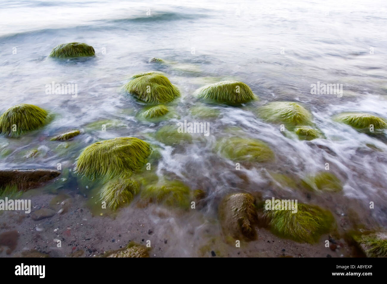 Stones in the surf Stock Photo - Alamy