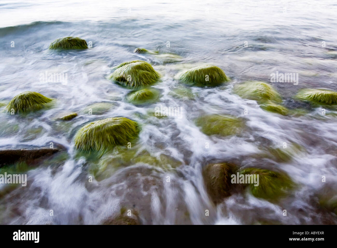 Stones in the surf Stock Photo - Alamy