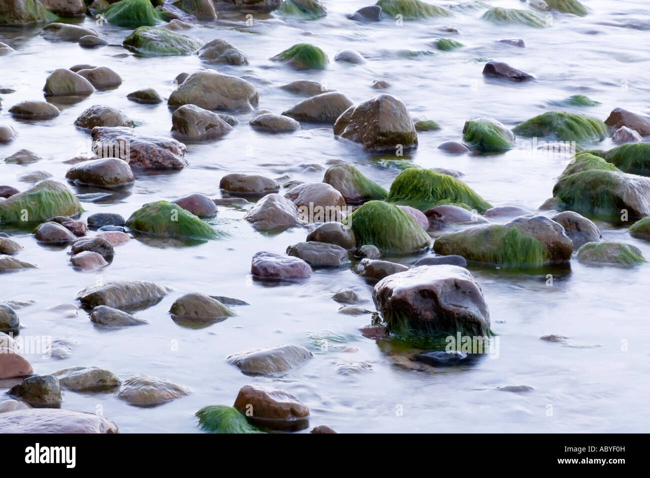 Stones in the surf Stock Photo - Alamy