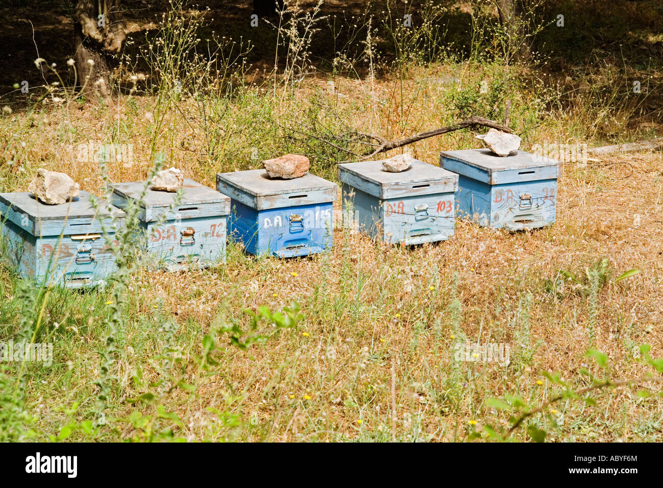 Beehives in Turkey Stock Photo - Alamy