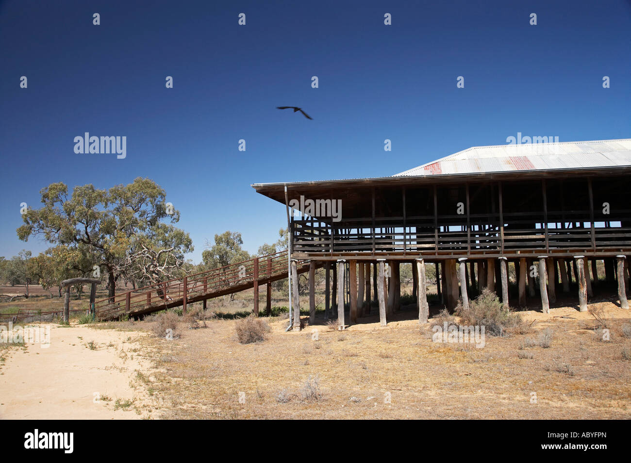 Historic Kinchega Woolshed Kinchega National Park Outback New South ...