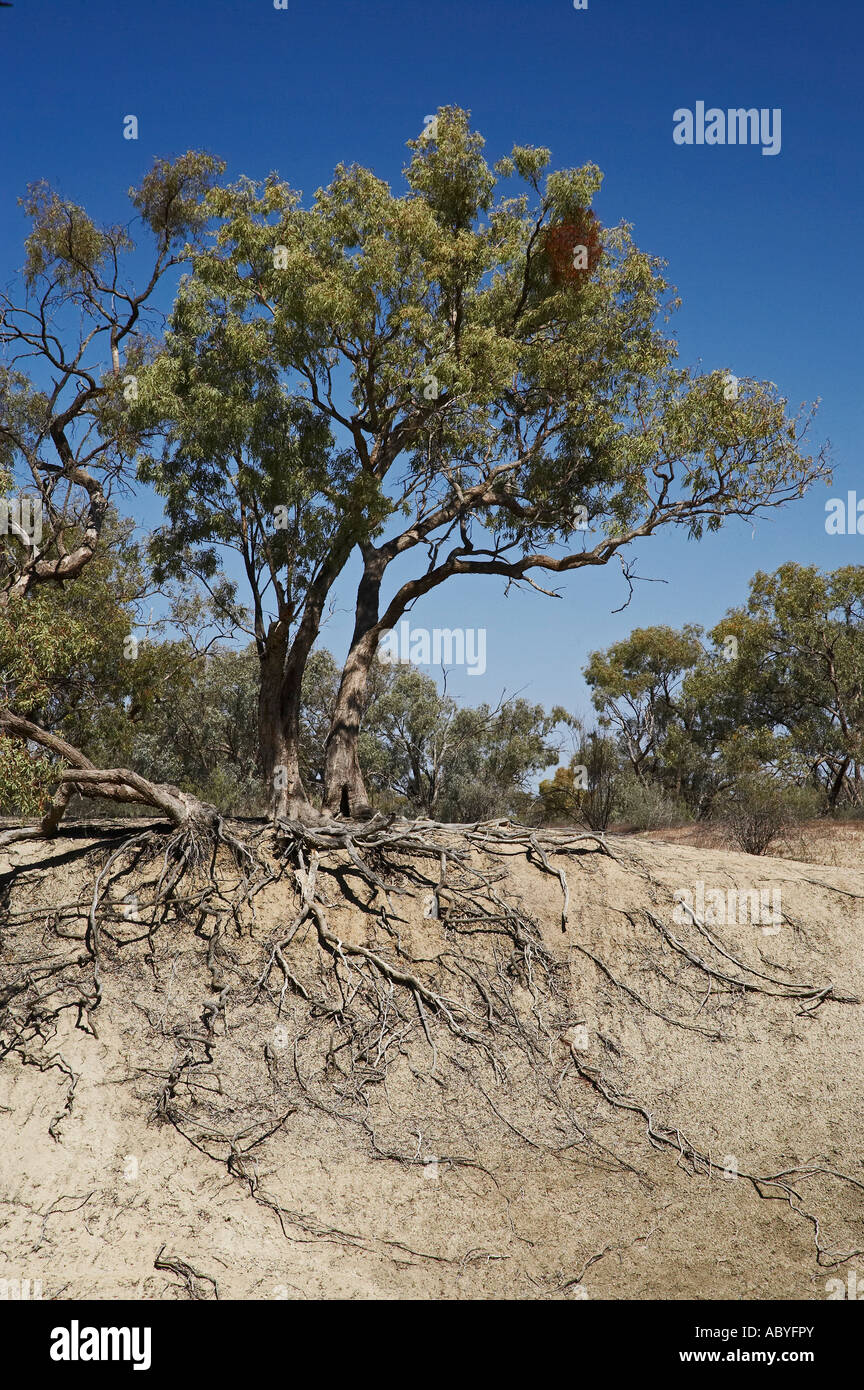 The darling river system hi-res stock photography and images - Alamy