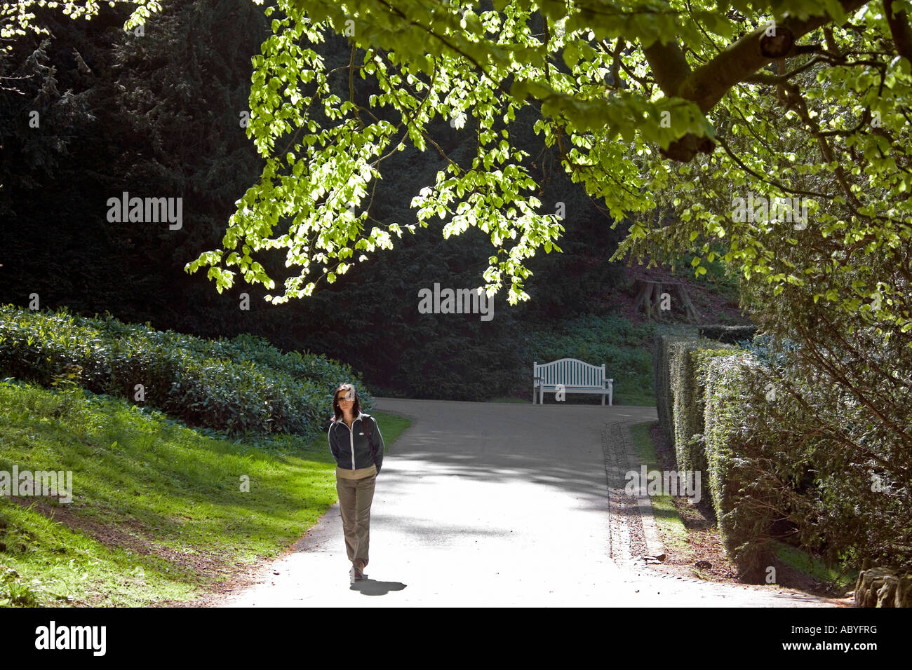 Fountains Abbey. Studley Royal. Yorkshire Stock Photo - Alamy