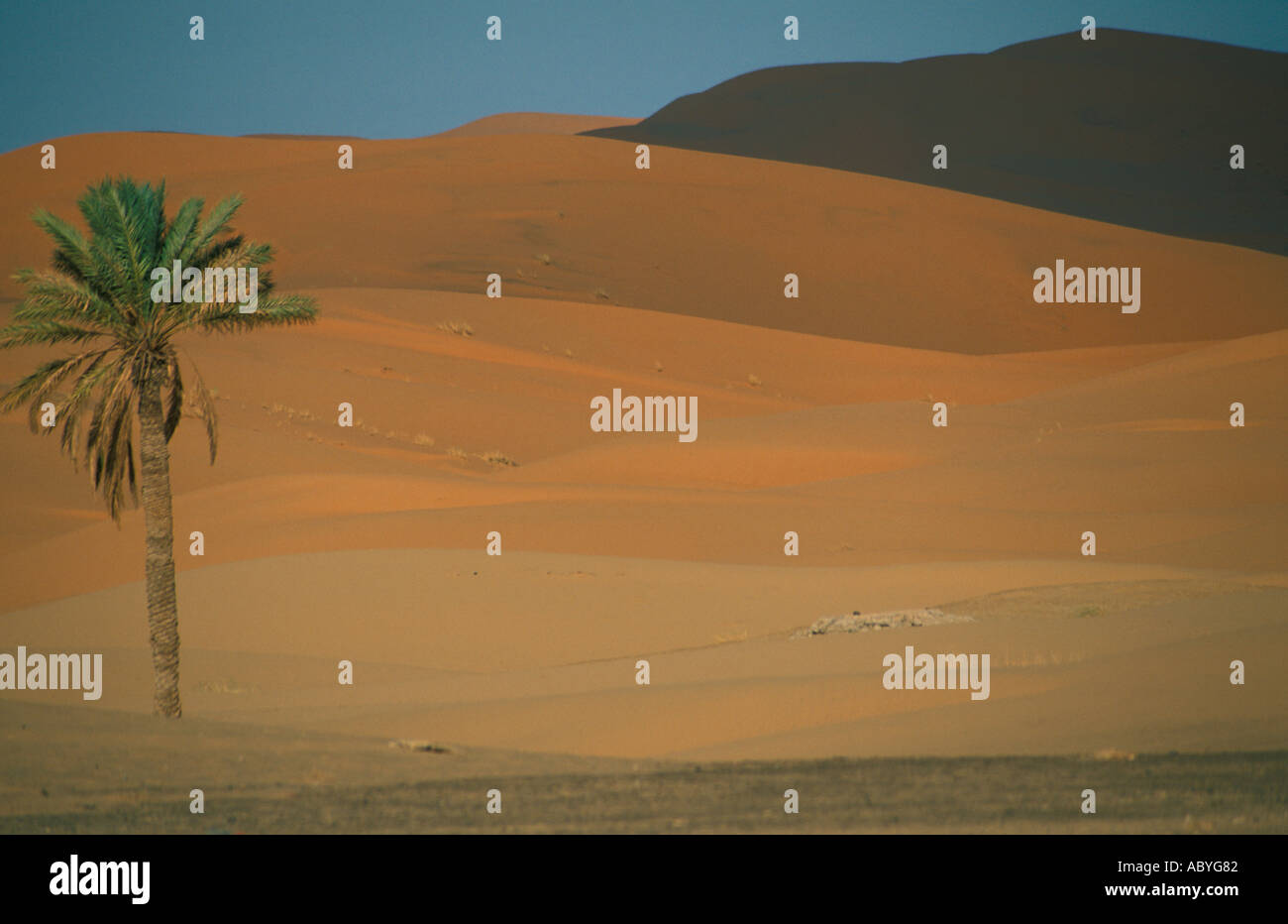 El chebi morocco hi-res stock photography and images - Alamy
