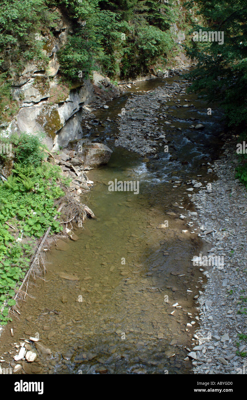 Tarcau valley area with very old forest now face agresive deforestation ...