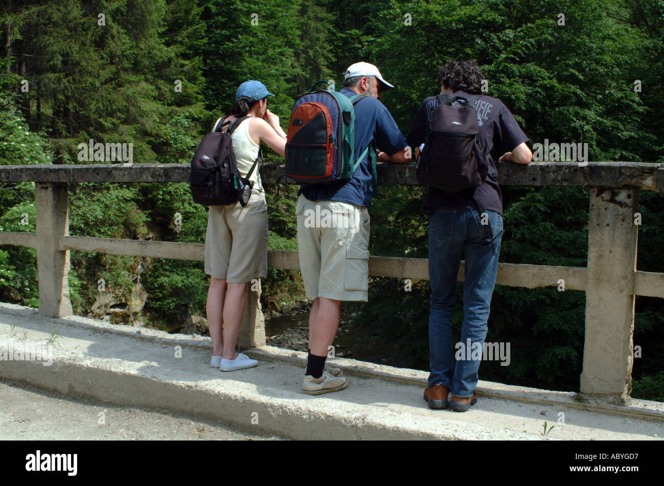 Turists on Tarcau Valley area with agresive deforestation caused by ...