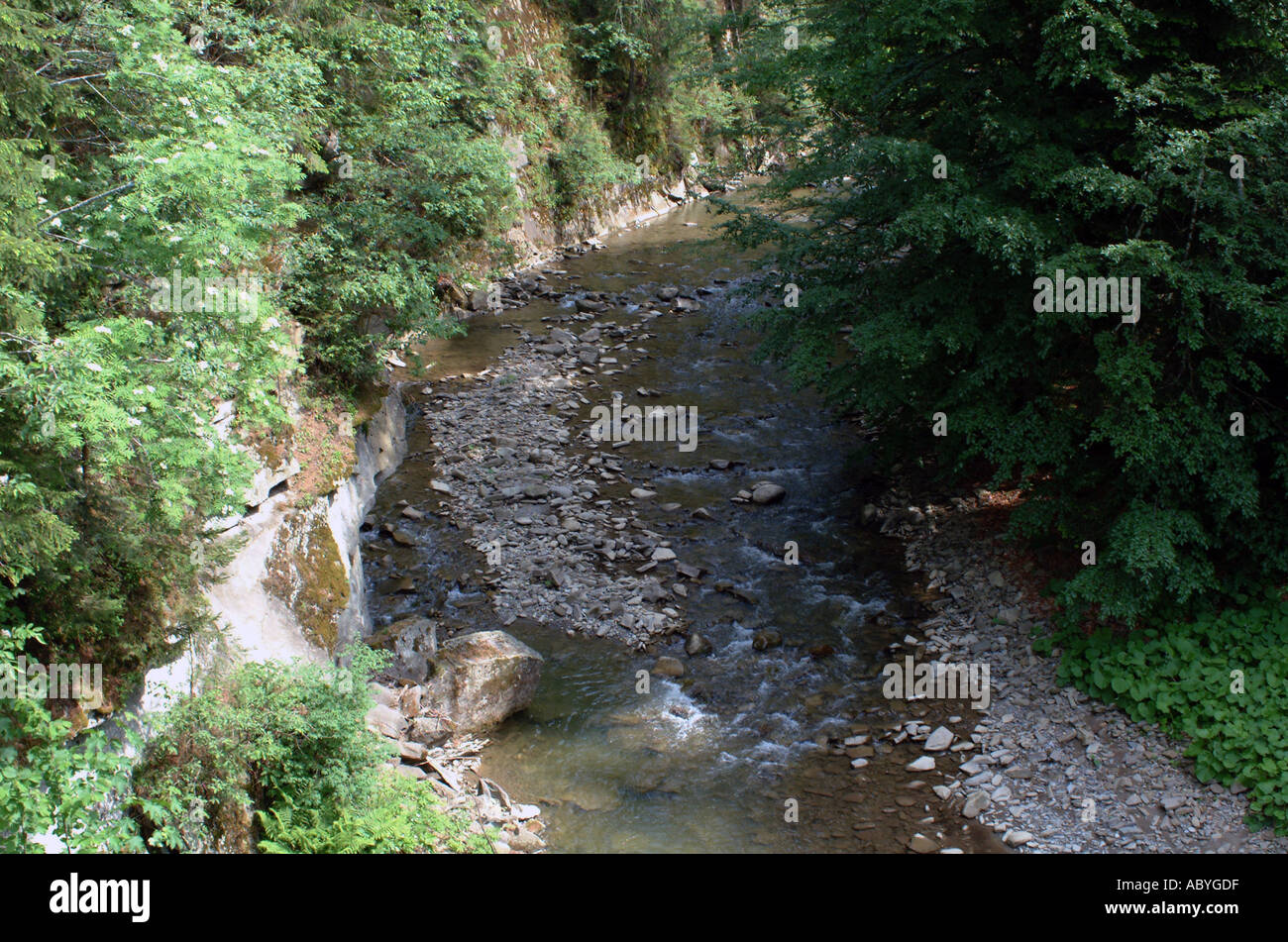 Tarcau valley area with very old forest now face agresive deforestation ...