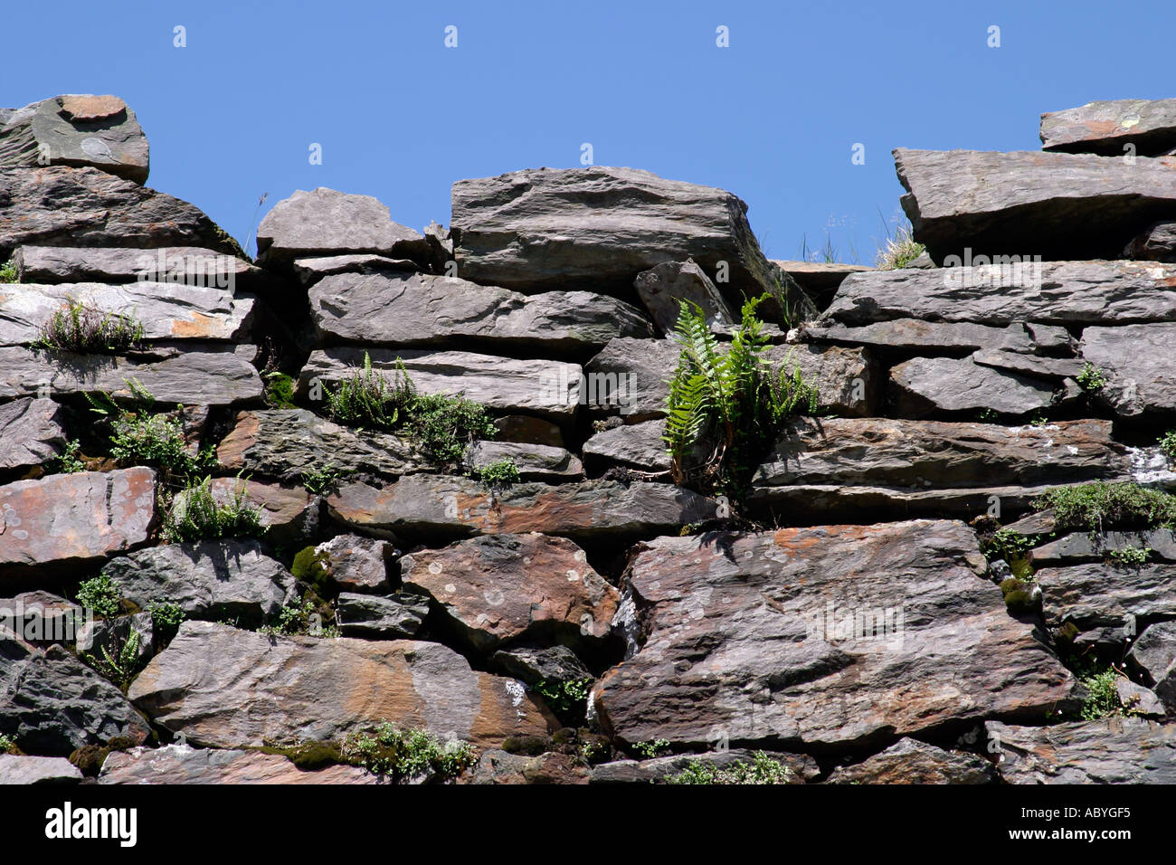 Slate Stone Wall Stock Photo - Alamy