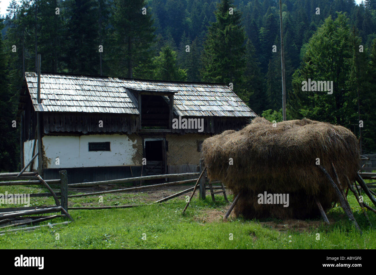 Traditional ocupation on Tarcau Valley area with agresive deforestation ...
