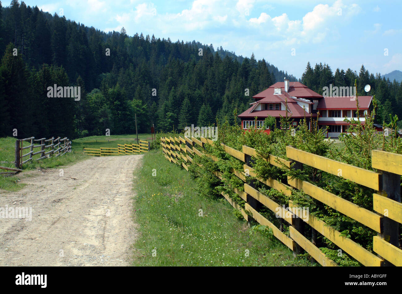 Tarcau valley area with very old forest now face agresive deforestation ...
