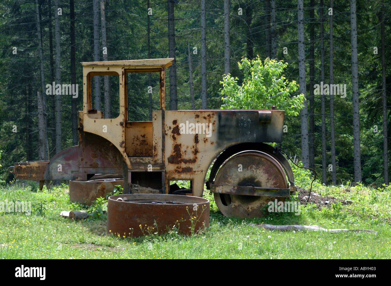 Tarcau valley area with very old forest now face agresive deforestation ...