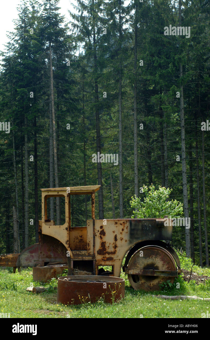 Tarcau valley area with very old forest now face agresive deforestation ...