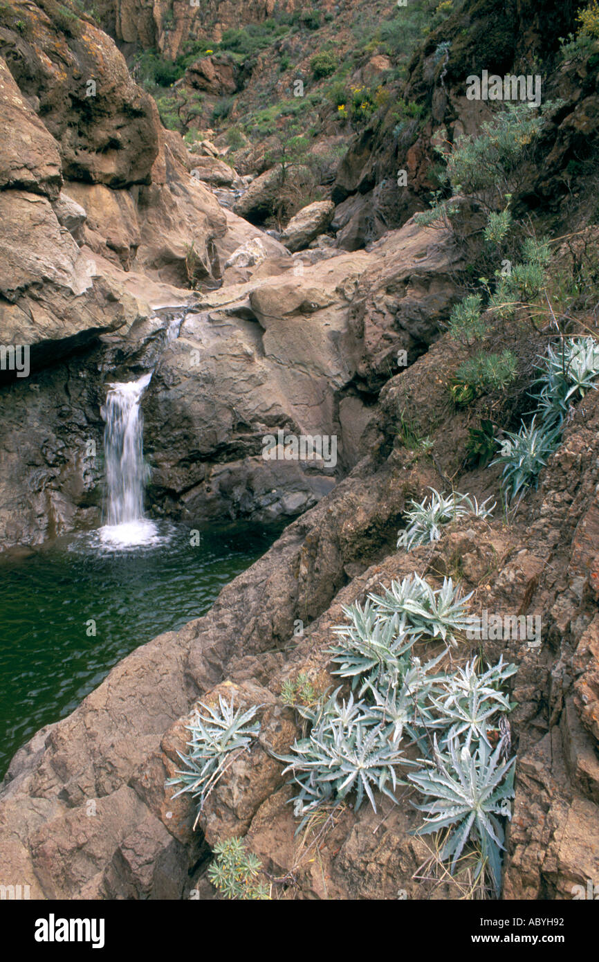 Waterfall cascade in canyon Santa Cruz Island Channel Islands ...