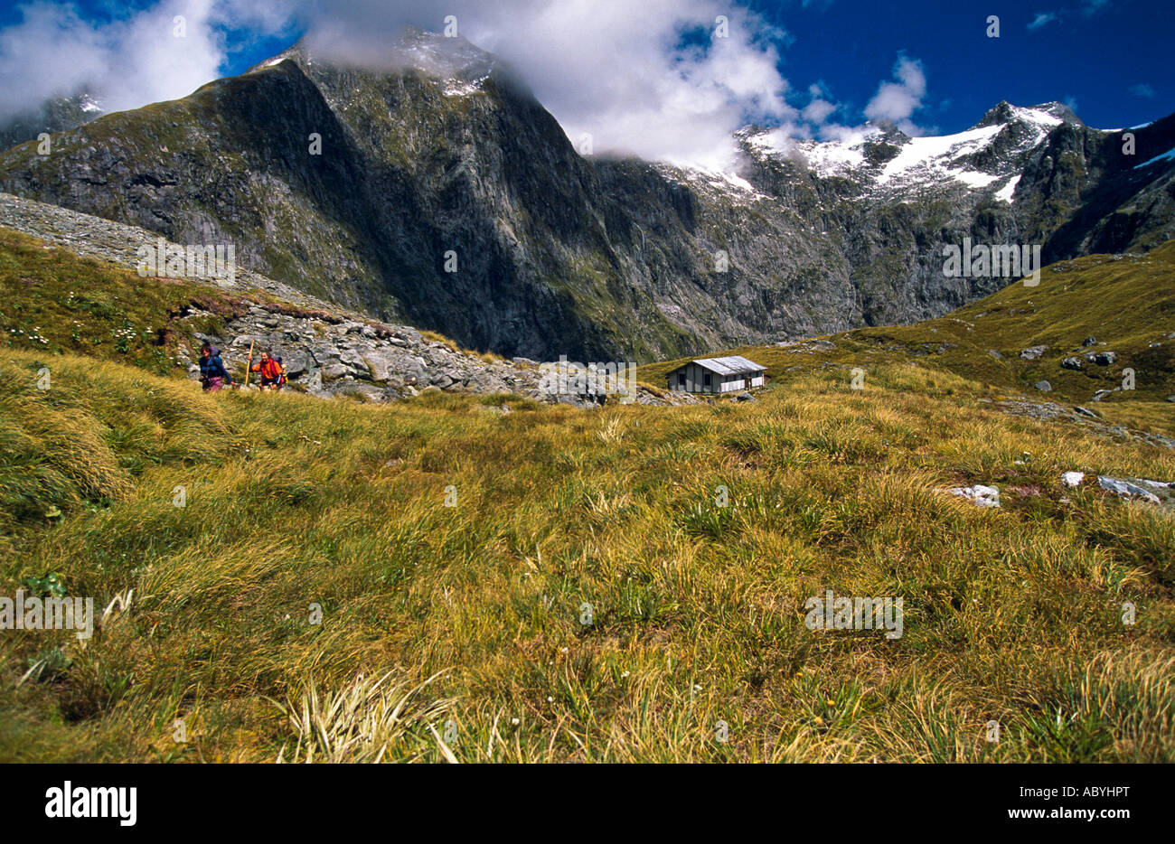 Milford Track, Fiordland National Park, South Island, New Zealand ...