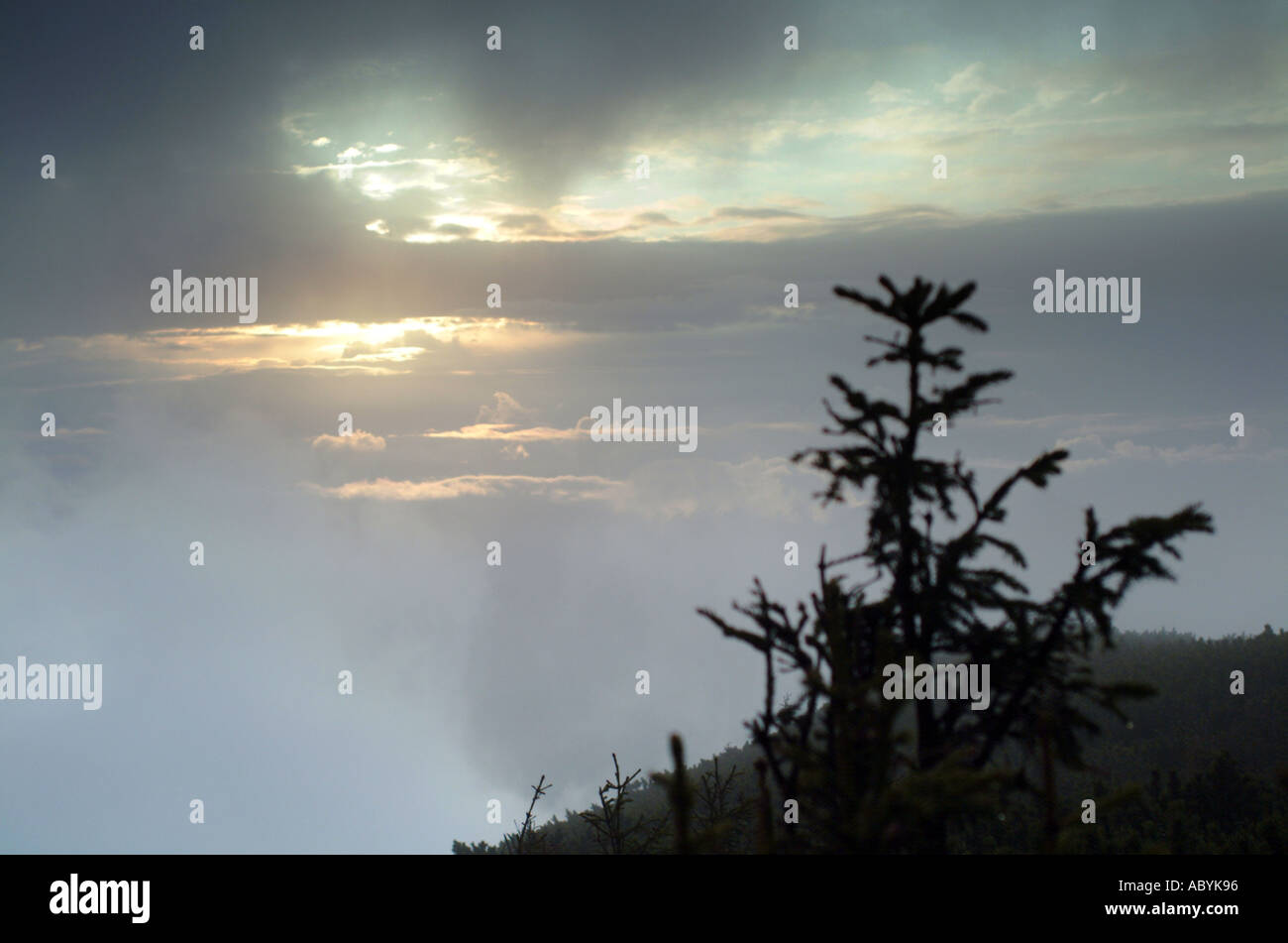 National Park Ceahlau Carpathian Mountain Dracula Land NE side of ...