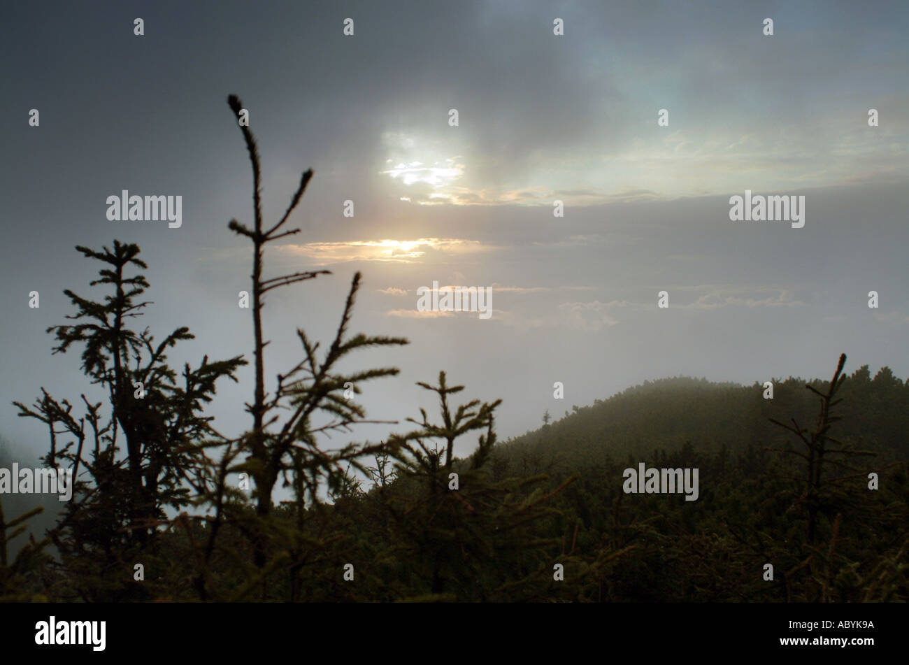 National Park Ceahlau Carpathian Mountain Dracula Land NE side of ...