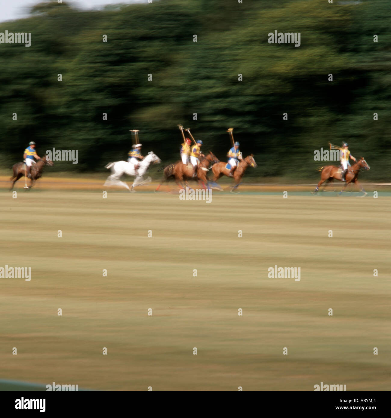 Players polo ponies hi-res stock photography and images - Alamy