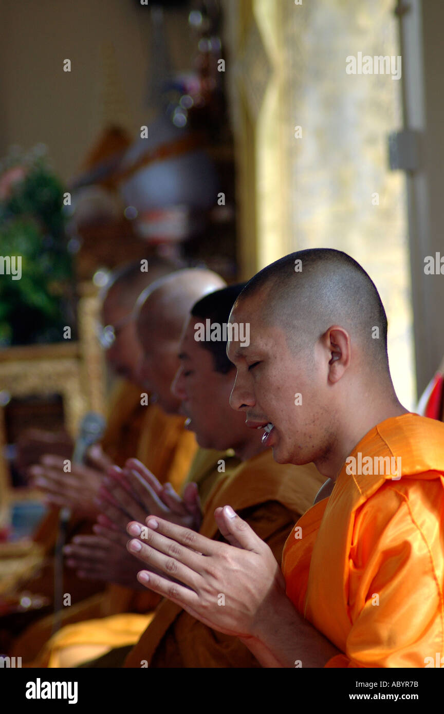 Buddhist monks holding prayers Stock Photo - Alamy