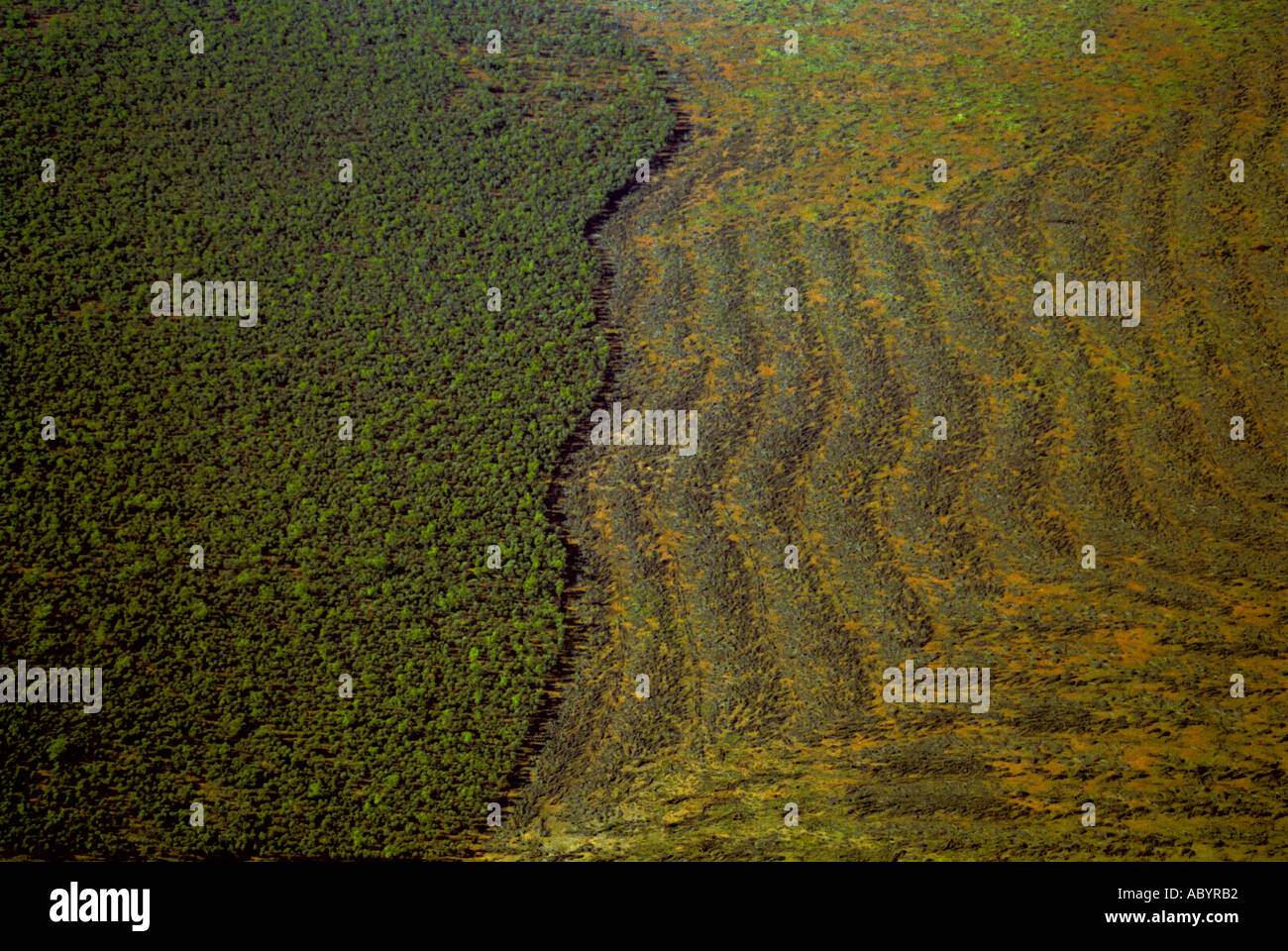 Queensland deforestation hi-res stock photography and images - Alamy