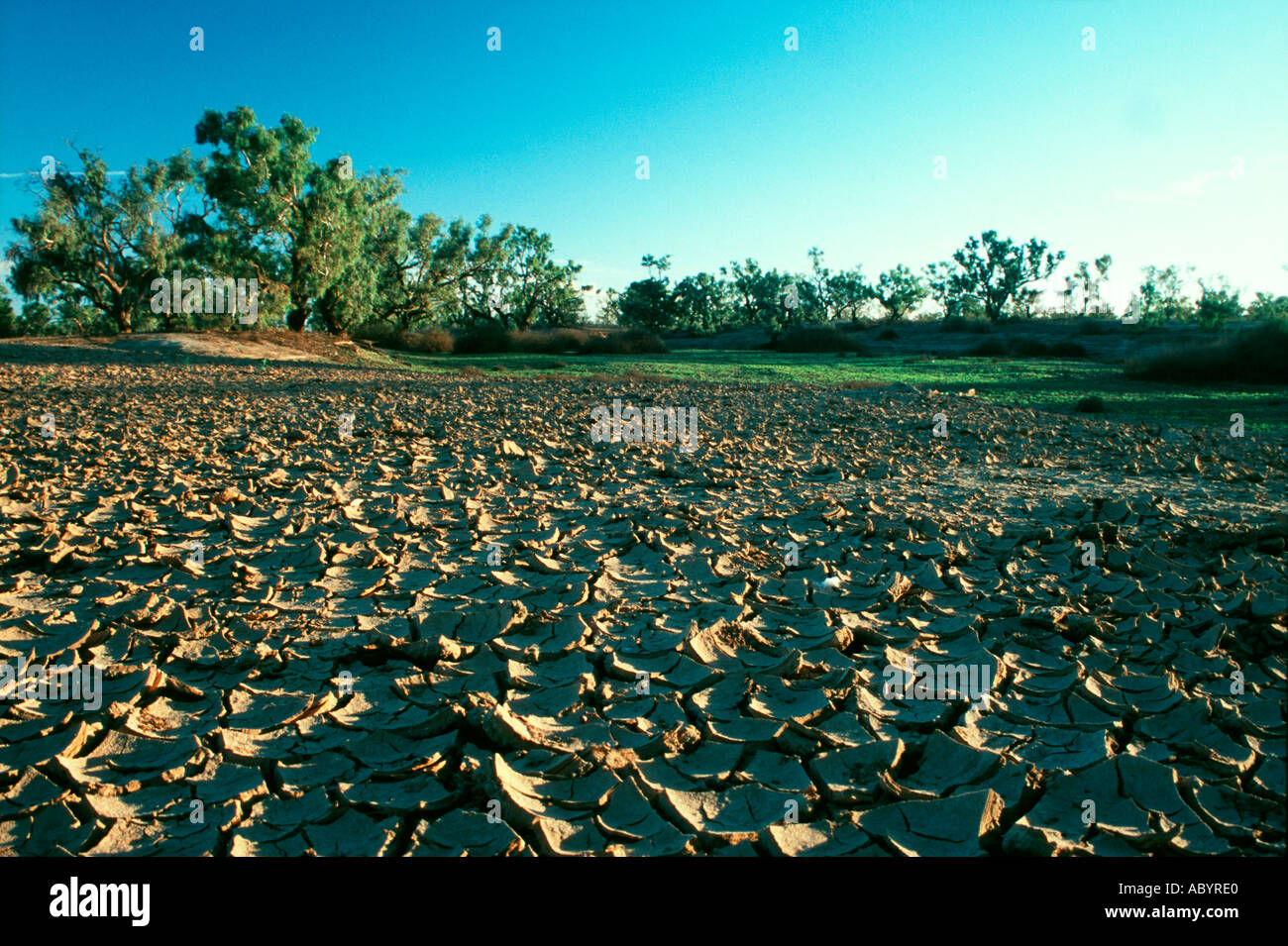 Vertisol clay pan Stock Photo - Alamy