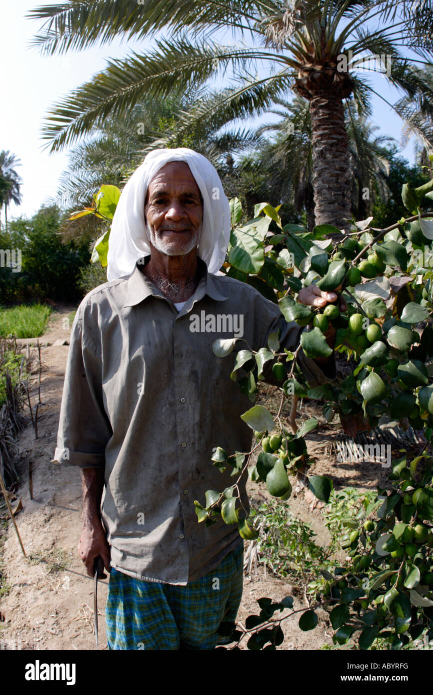 Northern Bahrain, Farming Stock Photo - Alamy