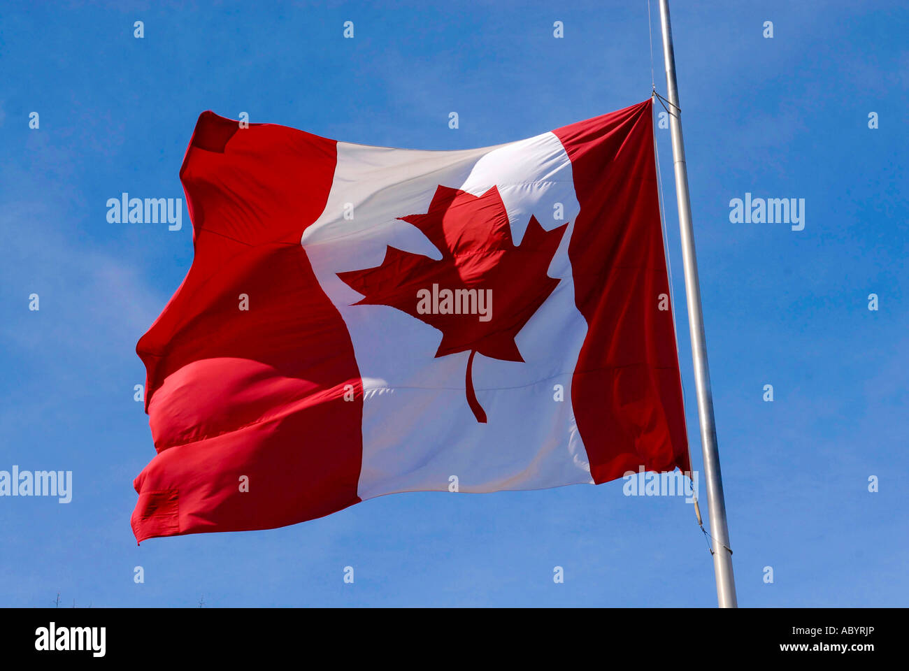 The National Flag of Canada Stock Photo - Alamy