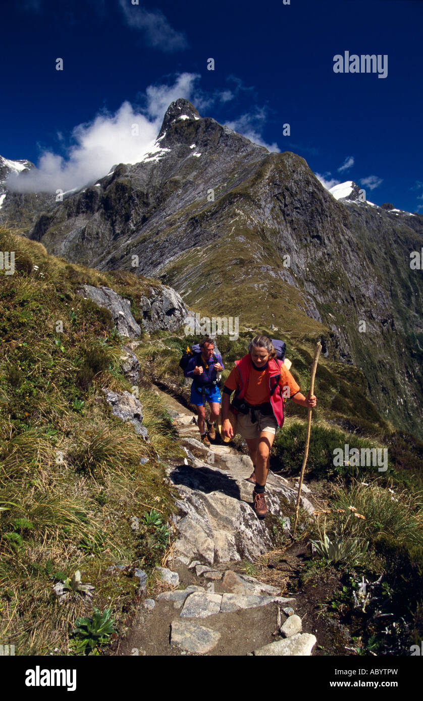 Milford Track, Fiordland National Park, South Island, New Zealand ...