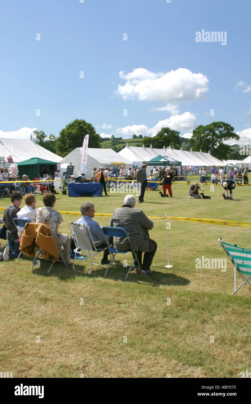 Dog exhibits hi-res stock photography and images - Alamy