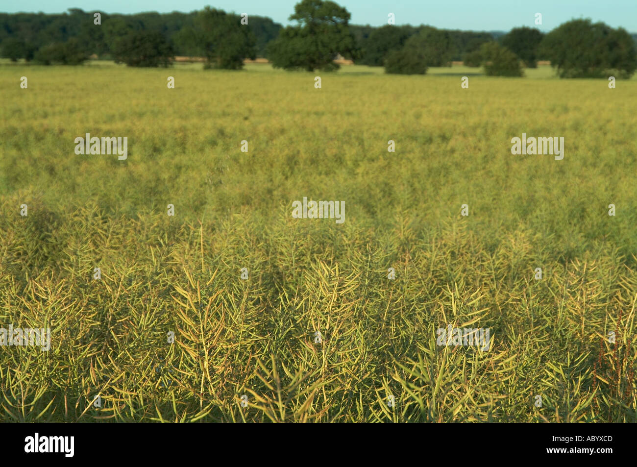 Farm farming farmer countryside land landscape rural crop crops grow ...