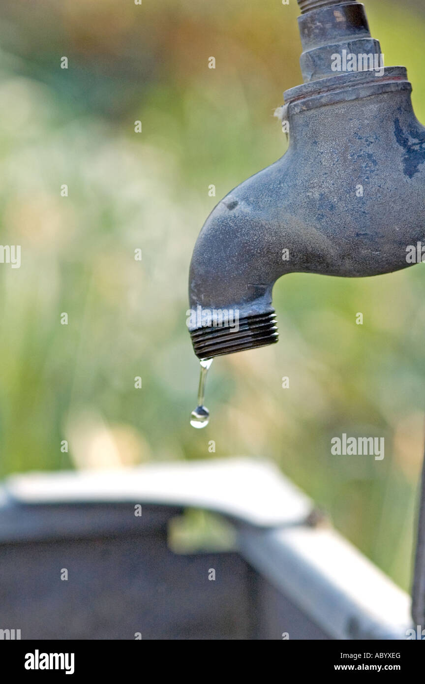 Dripping Tap Alexandra Palace Allotment London UK Stock Photo - Alamy