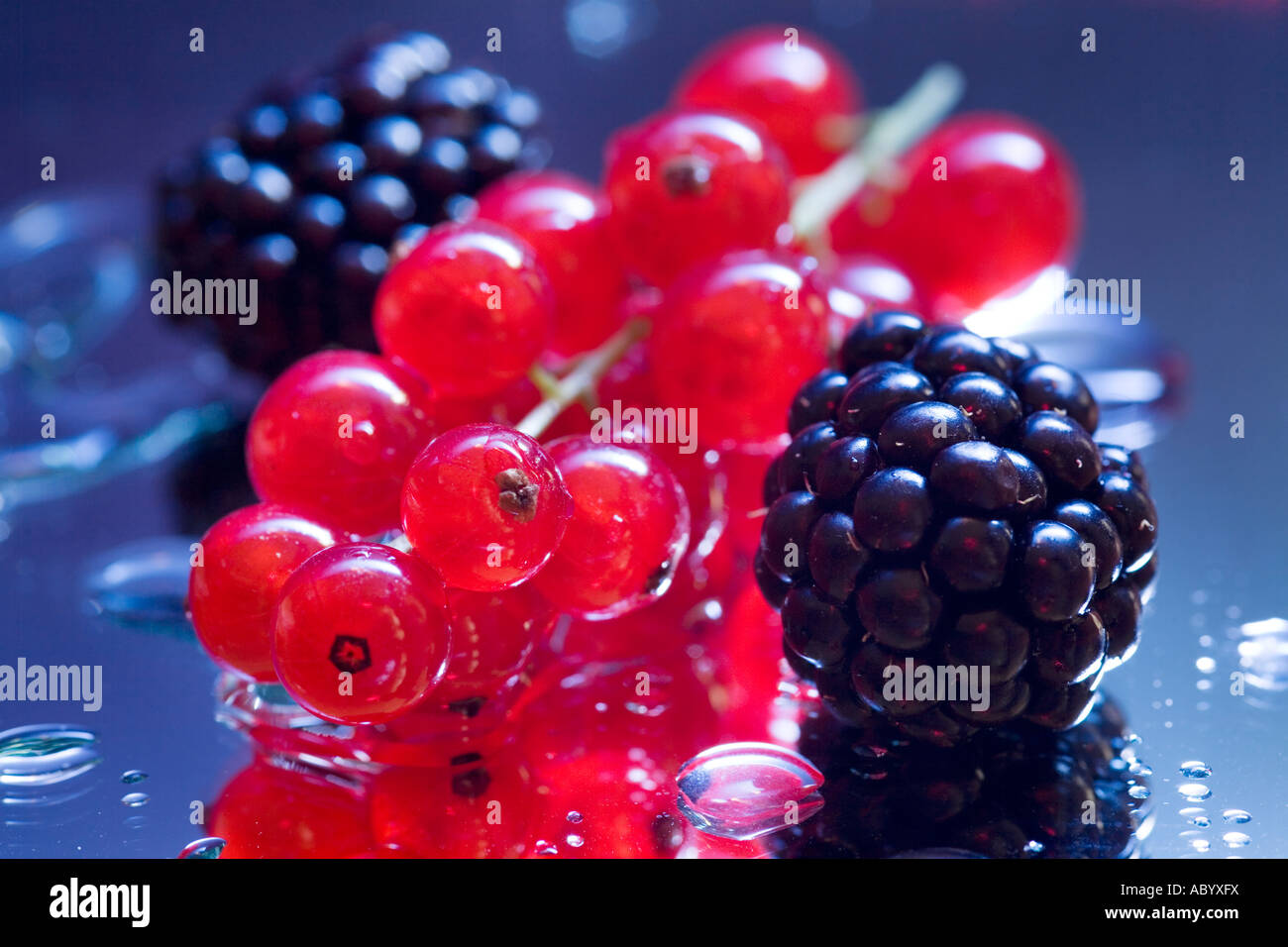 Blackberries and red current with splashes of water drops Stock Photo ...