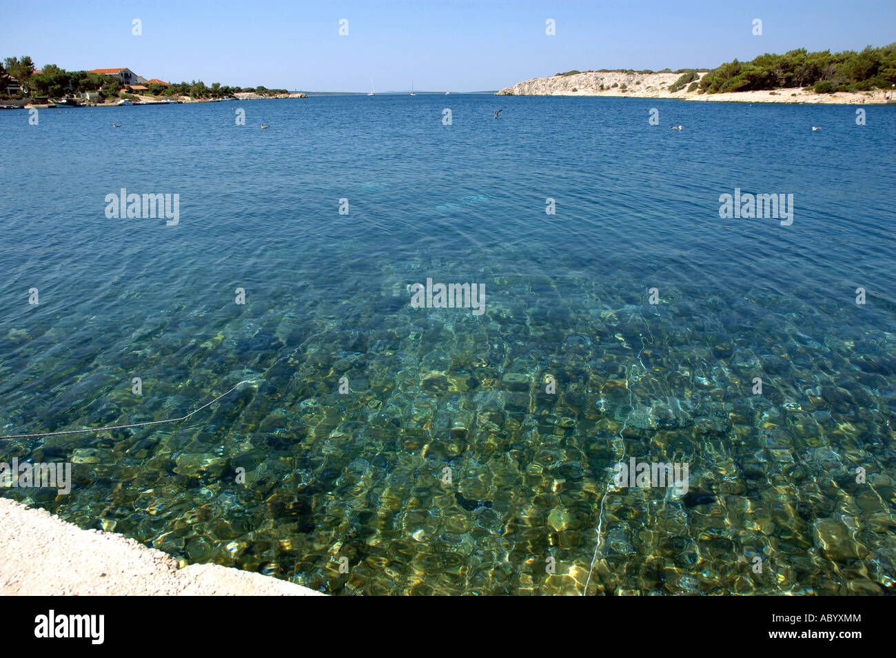 Simuni Pag Island Dalmatia Croatia former ex Yugoslavia Pago Dalmacija ...
