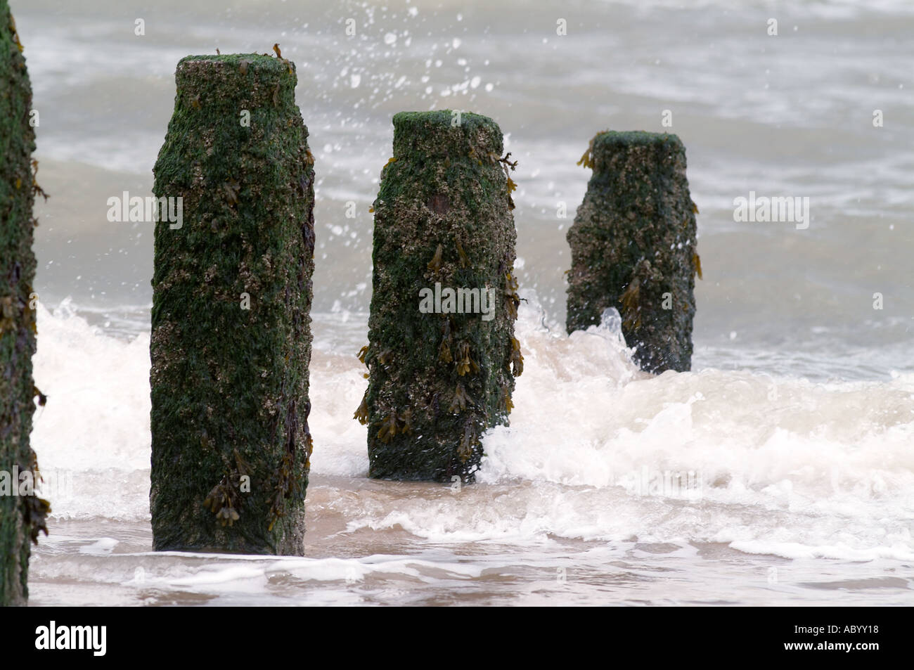 breakwater on deserted beach wave water erosion land splash tide sea ...