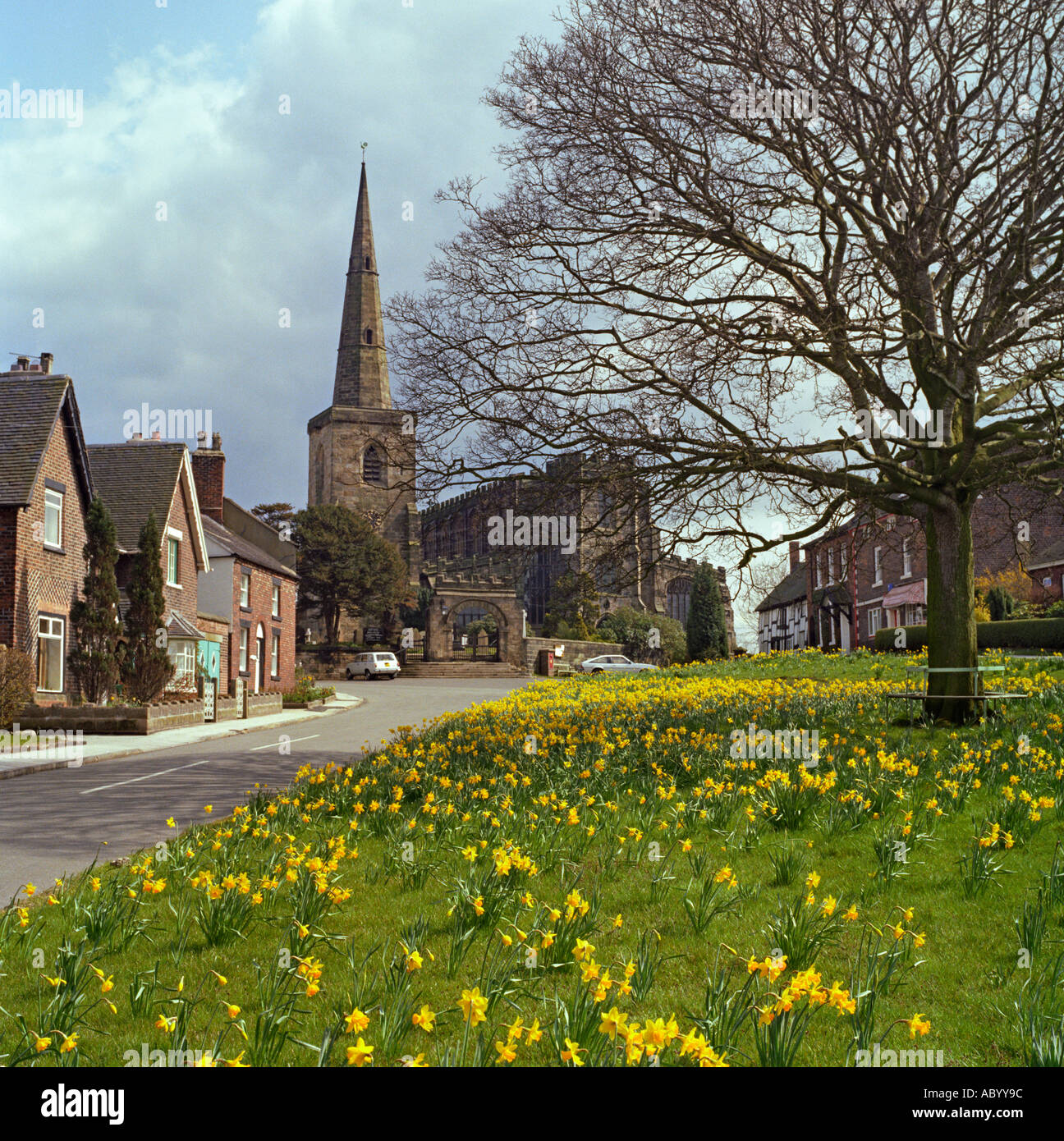 Cheshire Congleton Astbury Green and St Marys Church in springtime ...