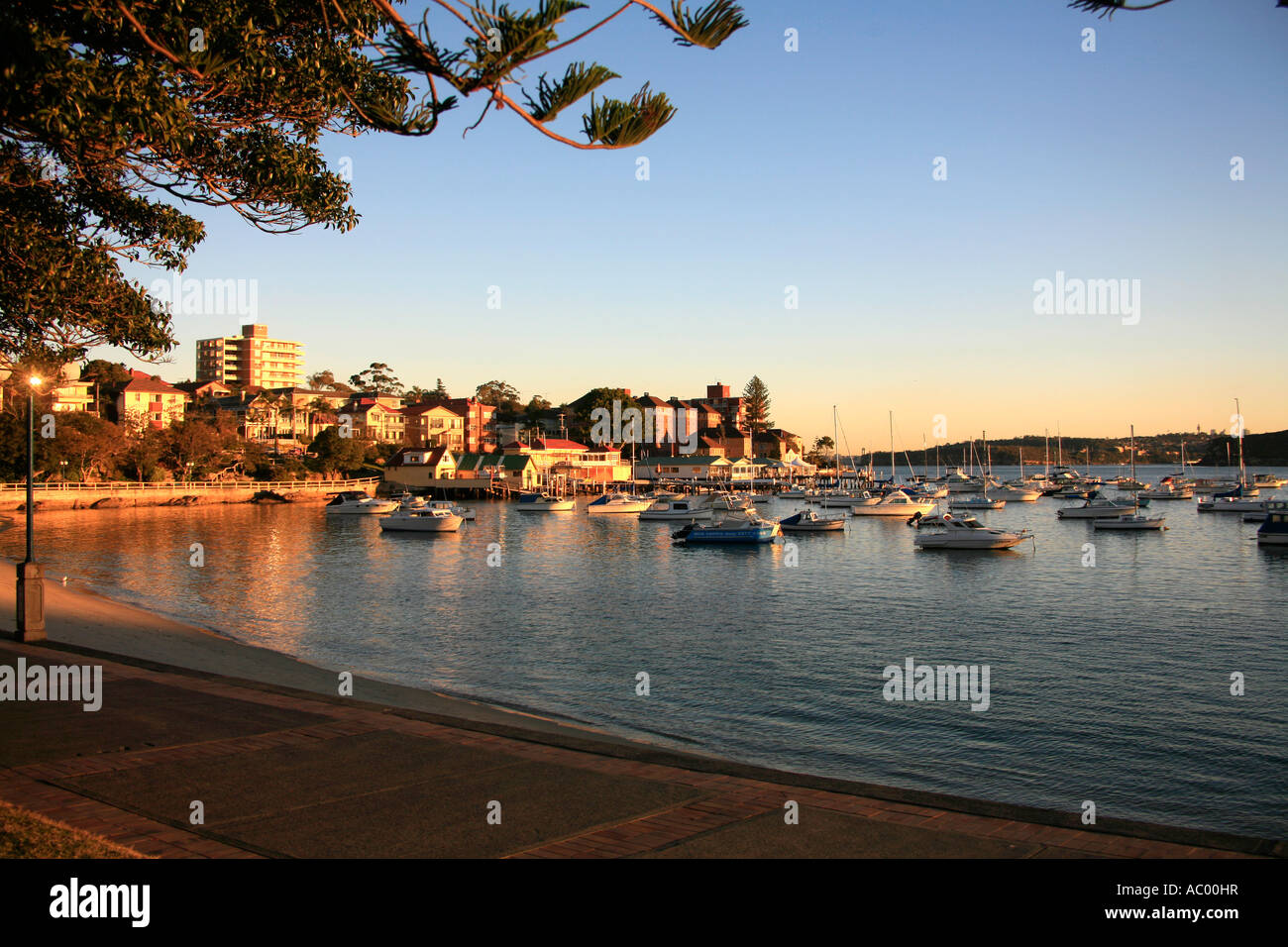 Sydney harbor at sunset Manly Australia Stock Photo - Alamy