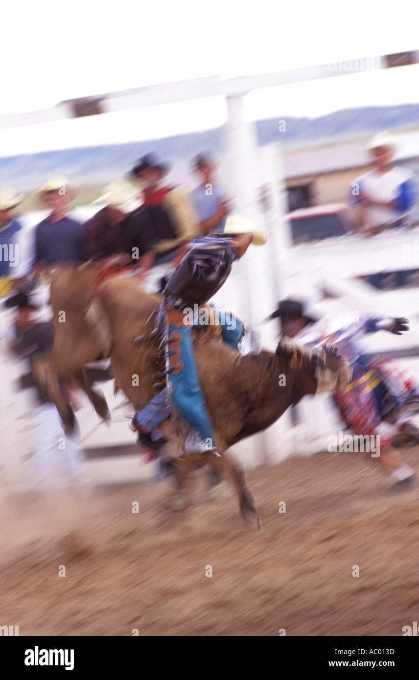 Rodeo horse accident hi-res stock photography and images - Alamy