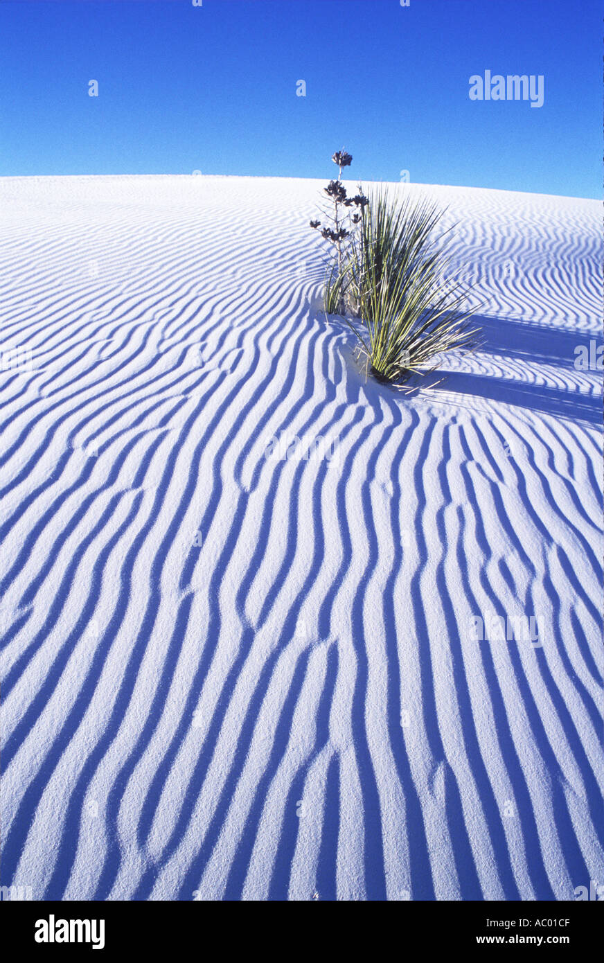 Pure clean white sands hi-res stock photography and images - Alamy