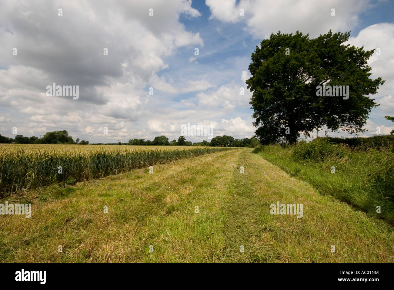 Set aside fields hi-res stock photography and images - Alamy