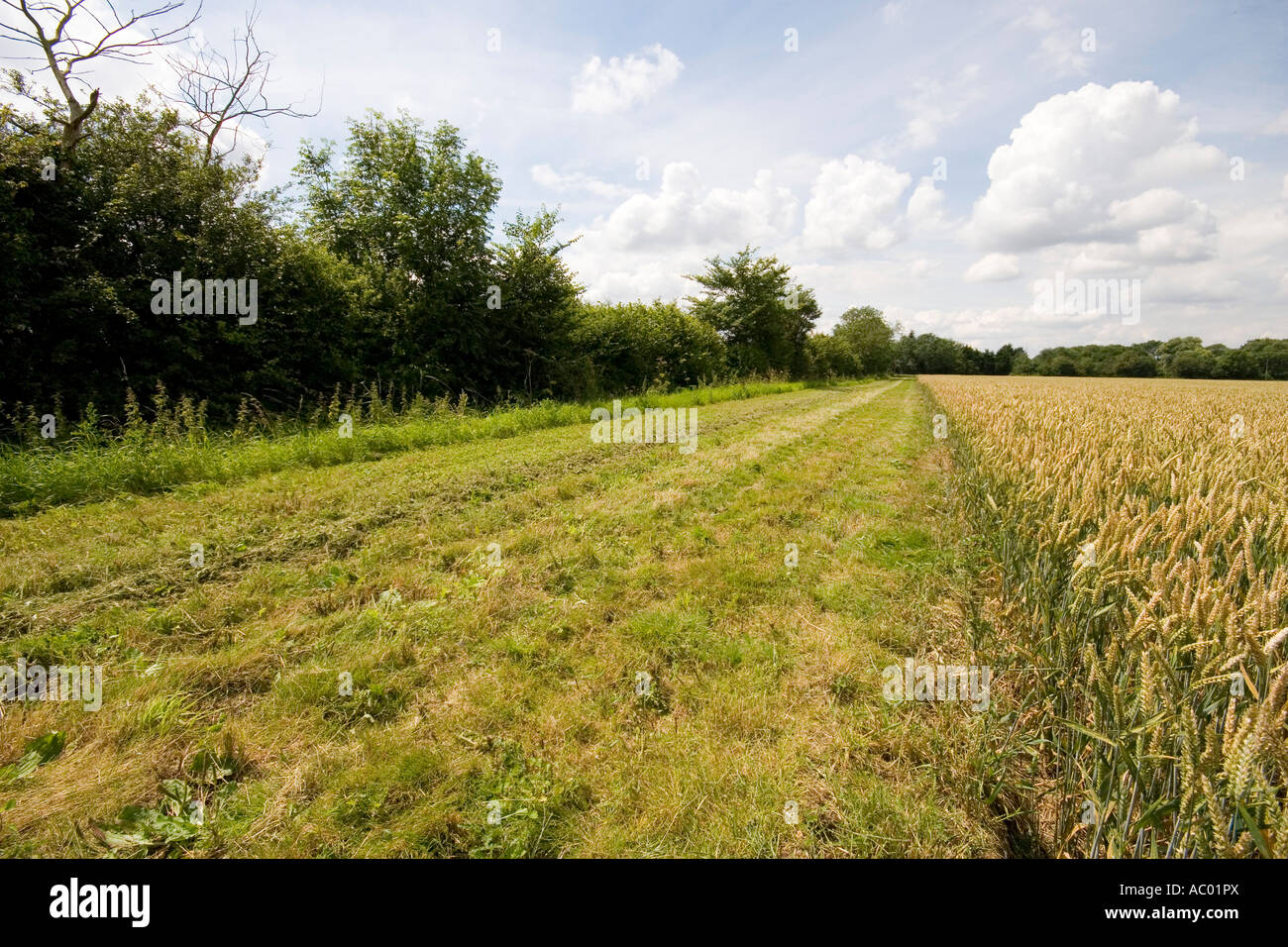 Set aside field hi-res stock photography and images - Alamy