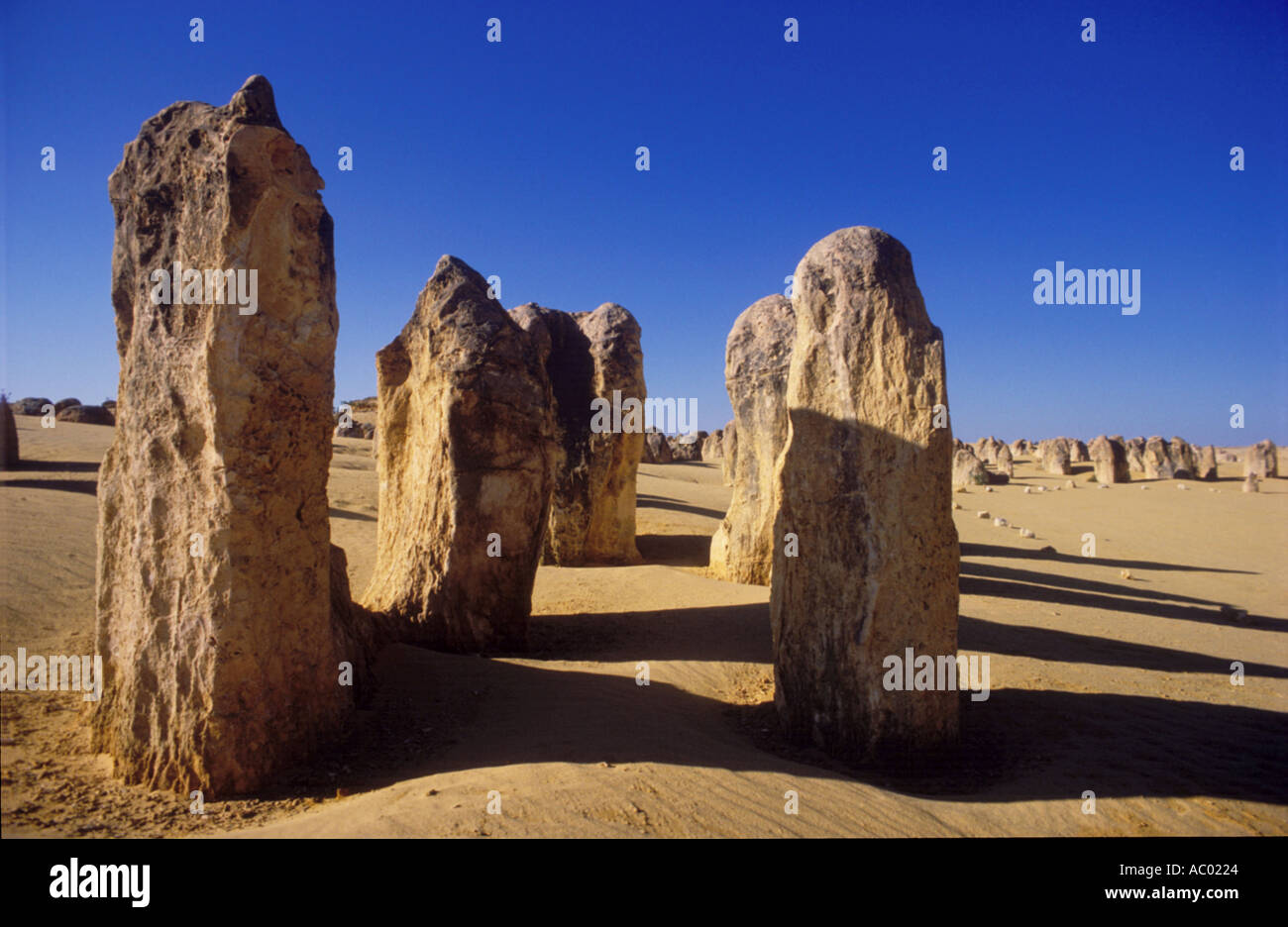 Spire shaped rocks called the Pinnacles western Australia desert ...