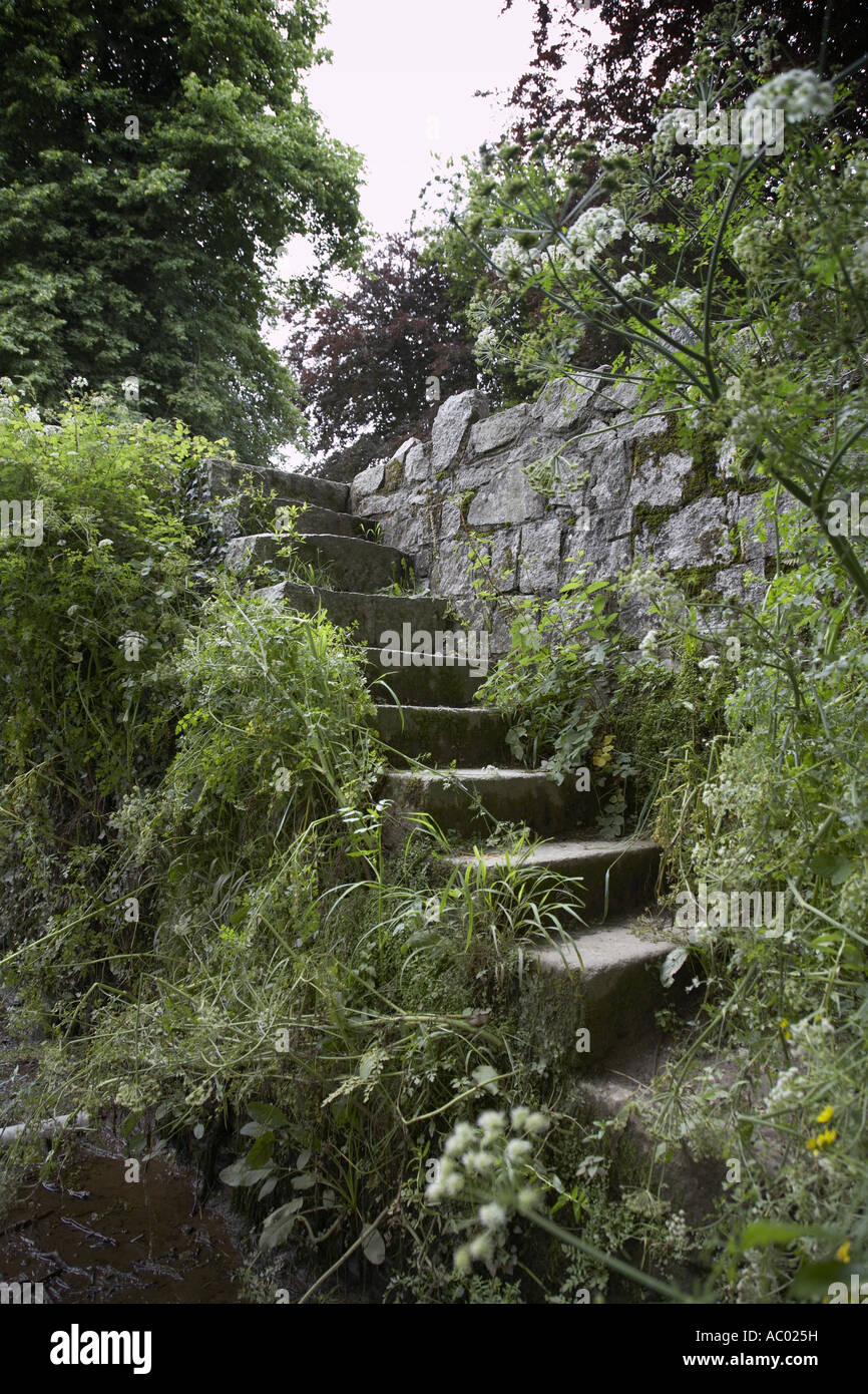 Old stone steps in Cornwall Stock Photo - Alamy