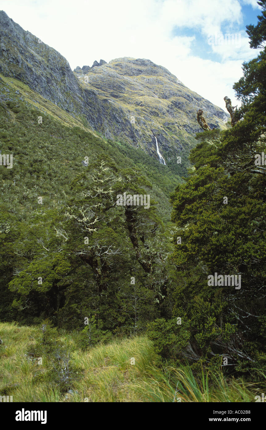 Waterfall Routeburn Track Queenstown NZ Stock Photo - Alamy