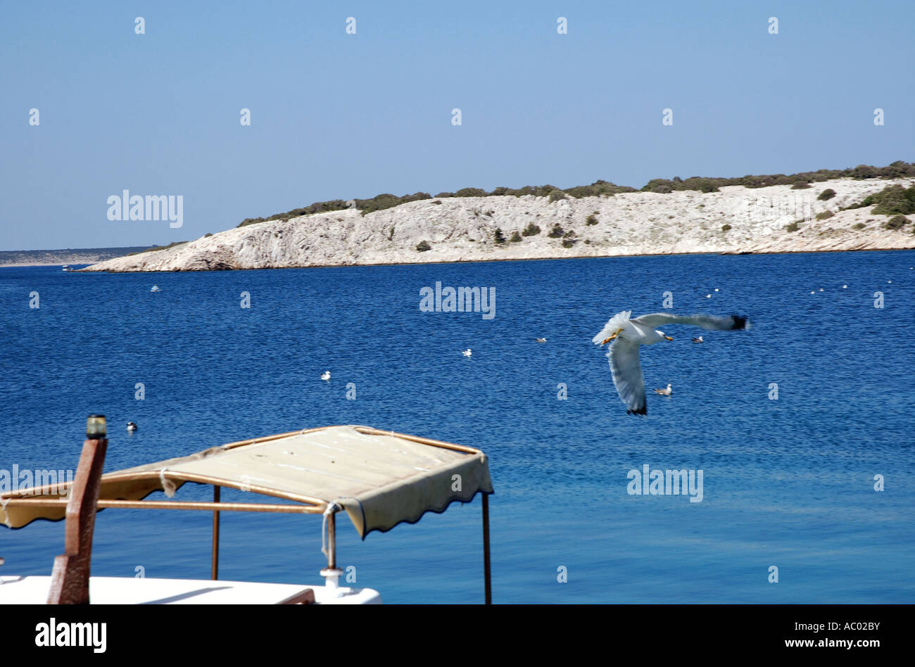 Simuni Pag Island Dalmatia Croatia former ex Yugoslavia Pago Dalmacija ...