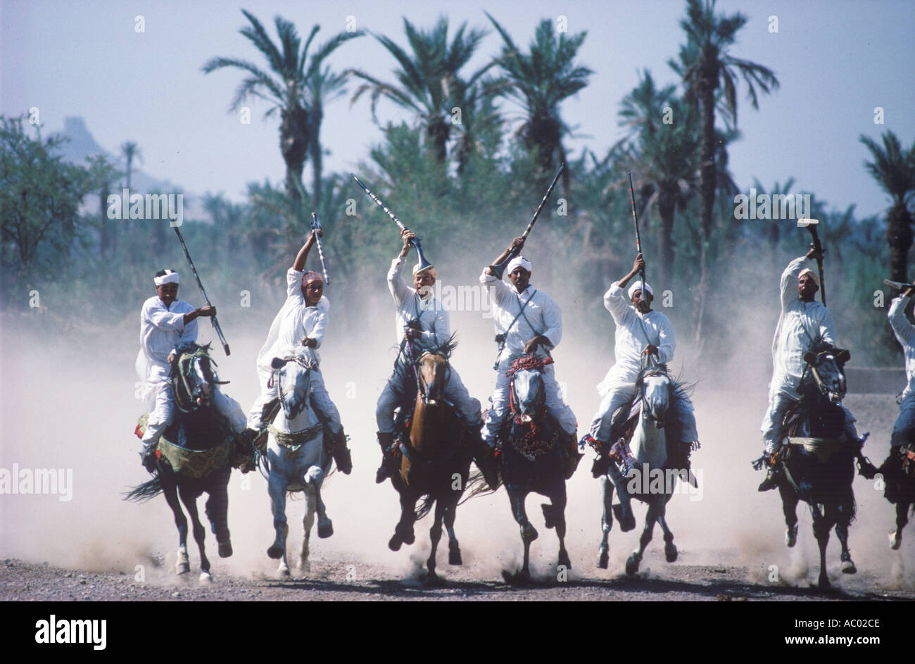 Professional horse riders Morocco Stock Photo - Alamy