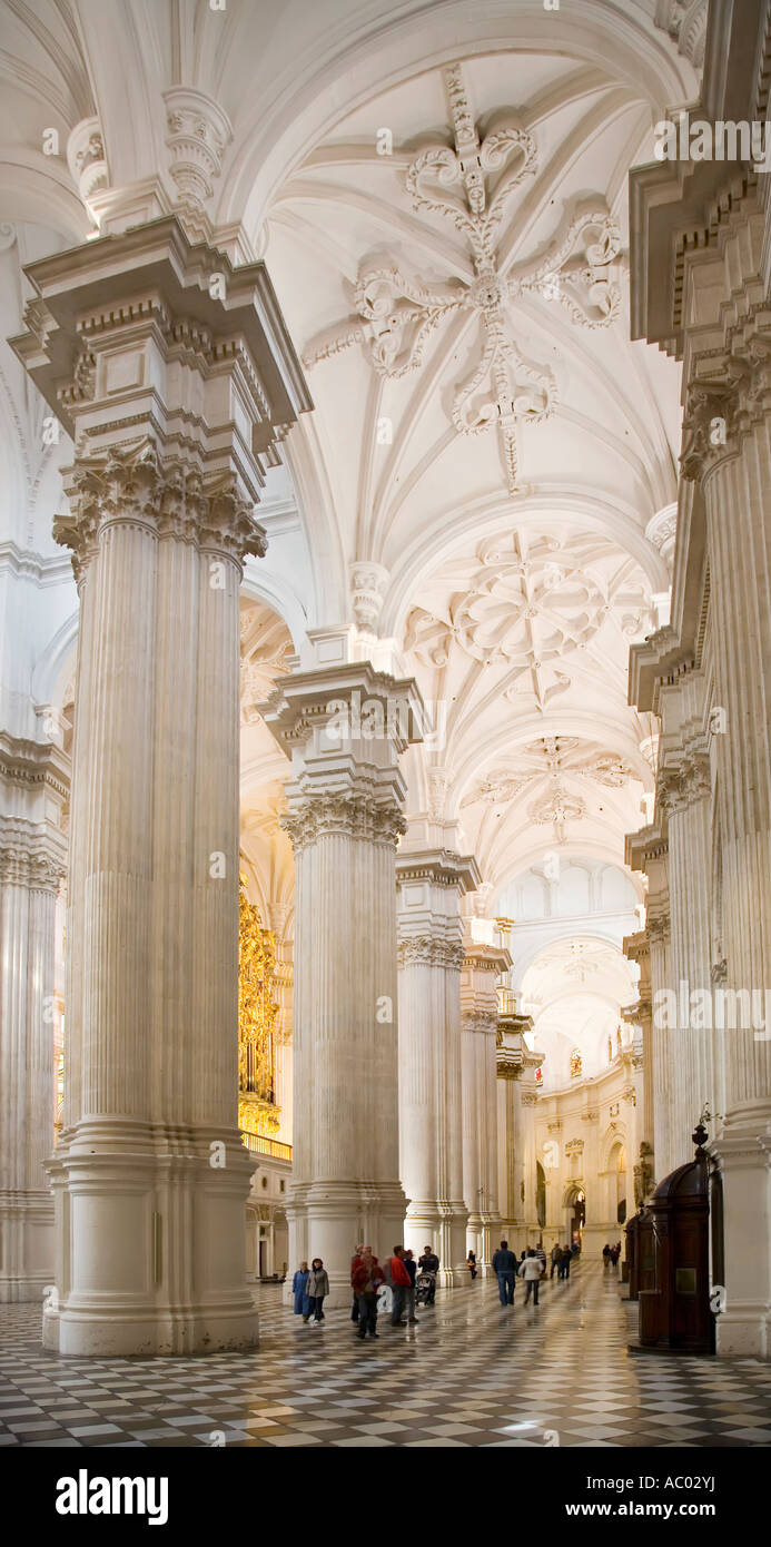 High pillars and domed roof with fine tracery in the aisles Cathedral ...